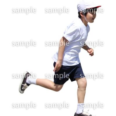 O_343 – sozaiya.com