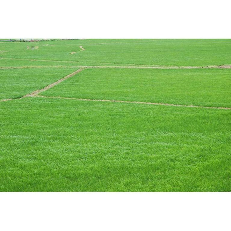 その他 – sozaiya.com