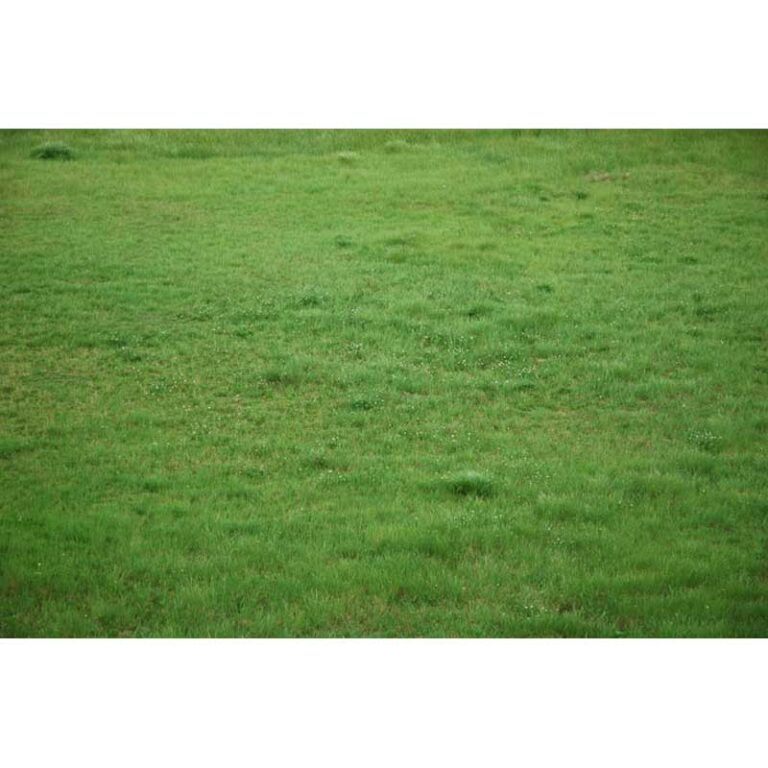 その他 – sozaiya.com