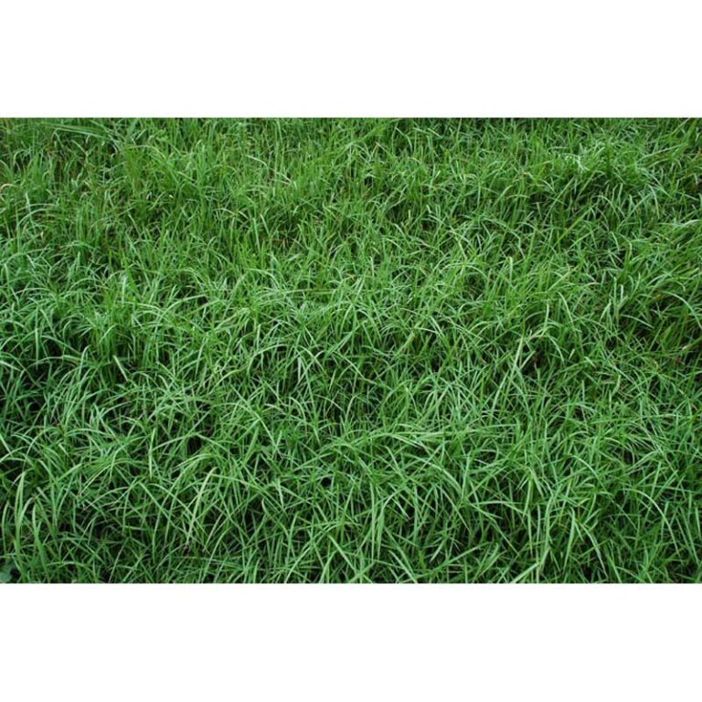 その他 – sozaiya.com