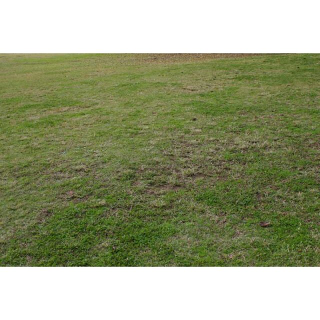 P0014 – sozaiya.com