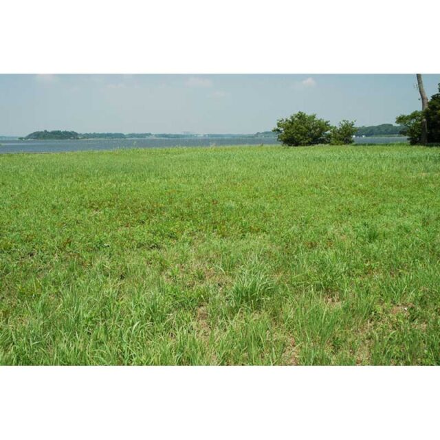 その他 – sozaiya.com