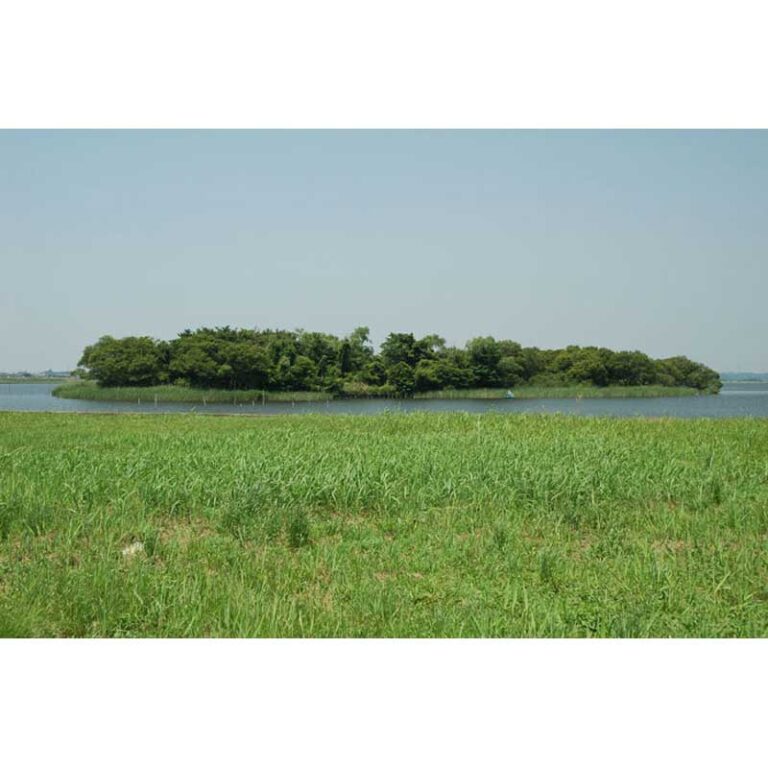 P0023 – sozaiya.com