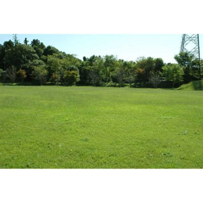 P0027 – sozaiya.com