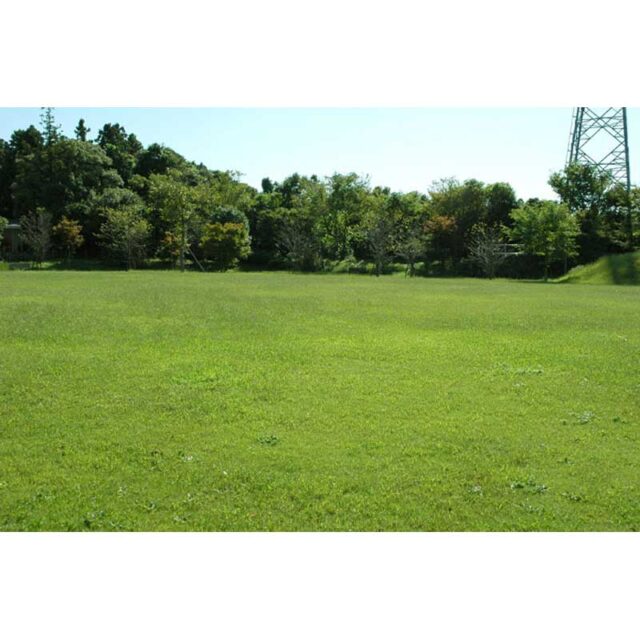 P0027 – sozaiya.com