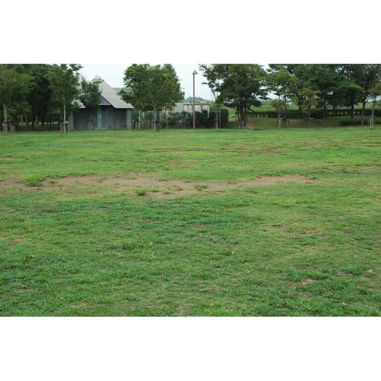 その他 – sozaiya.com