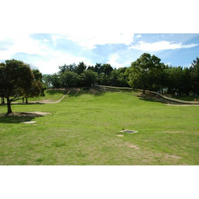 P0030 – sozaiya.com