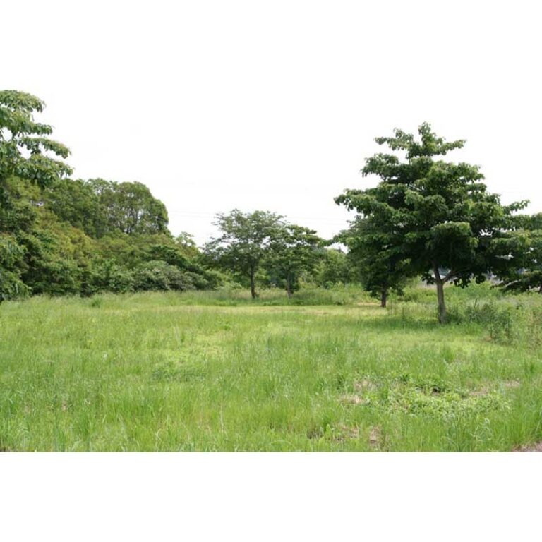 その他 – sozaiya.com