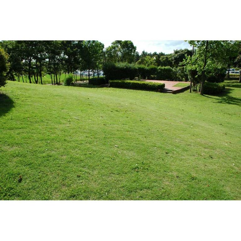 P0033 – sozaiya.com