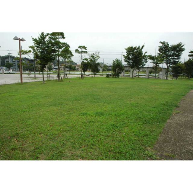 P0035 – sozaiya.com