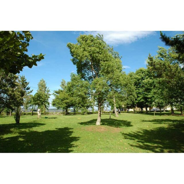 その他 – sozaiya.com