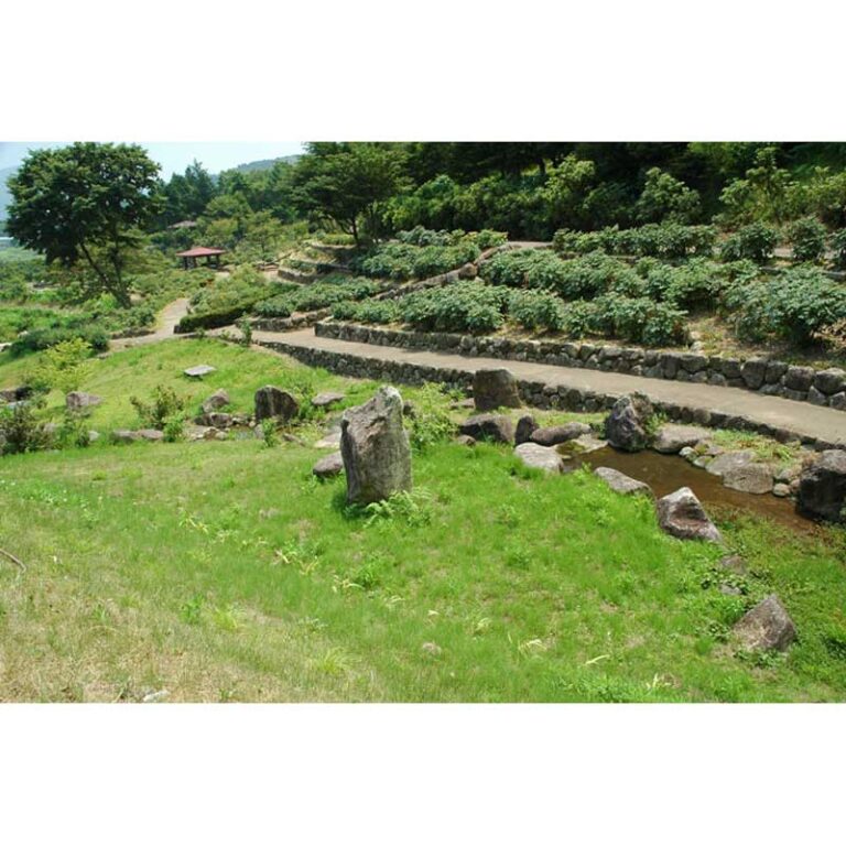 P0049 – sozaiya.com