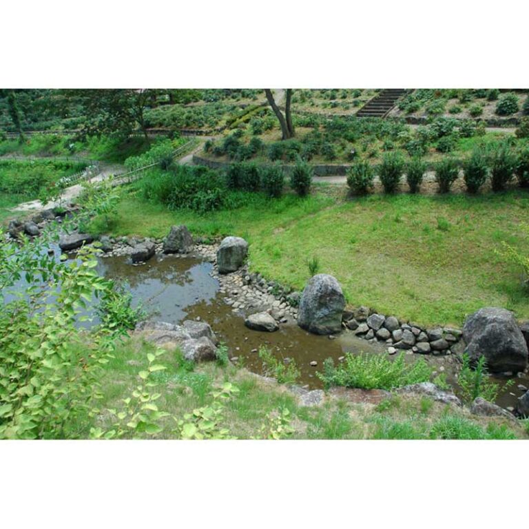 P0052 – sozaiya.com