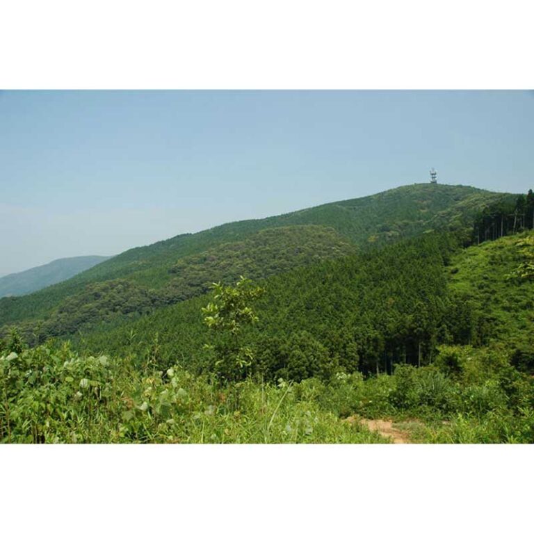 その他 – sozaiya.com