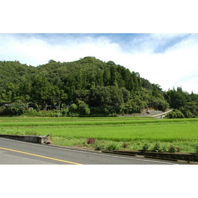 その他 – sozaiya.com