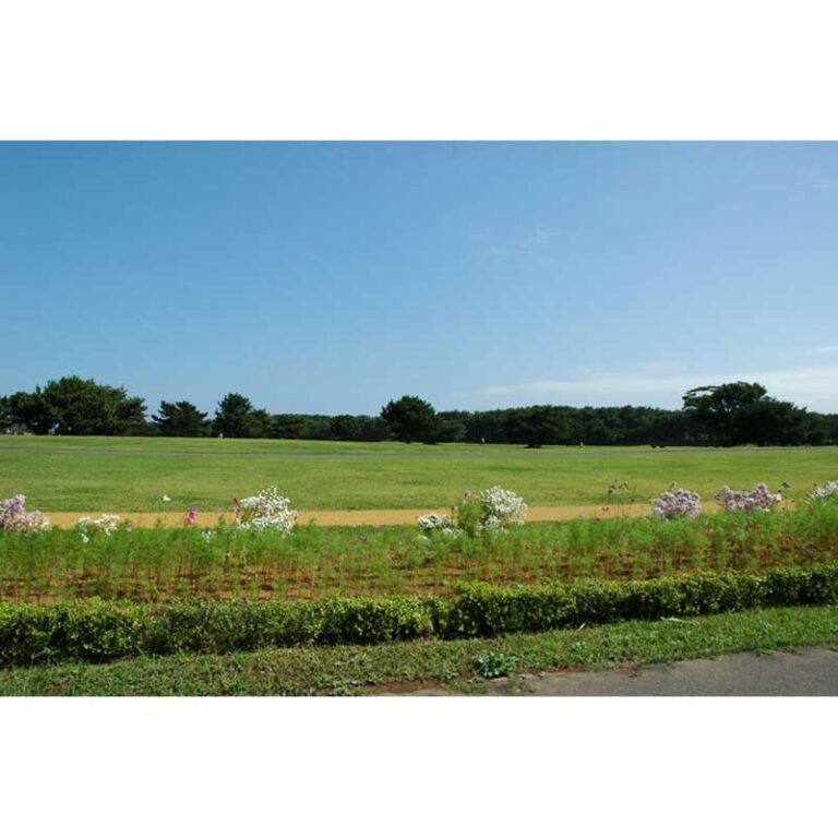 その他 – sozaiya.com