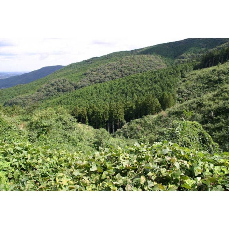 無料データ – ページ 6 – sozaiya.com