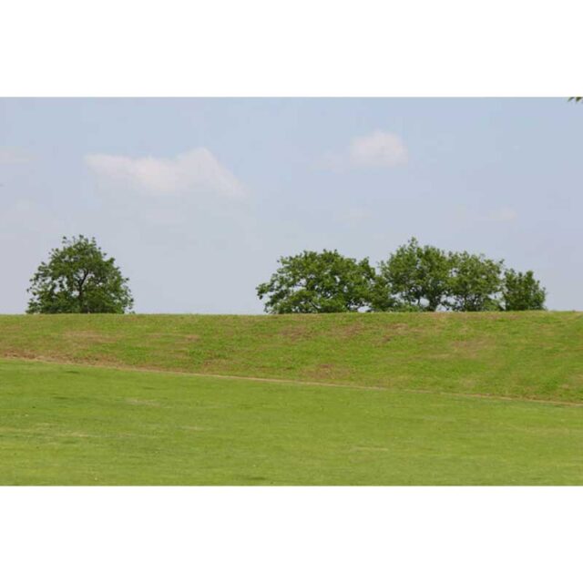 P0071 – sozaiya.com