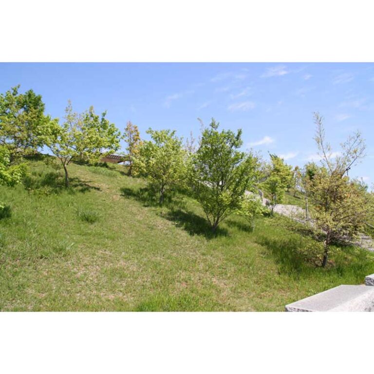 その他 – sozaiya.com