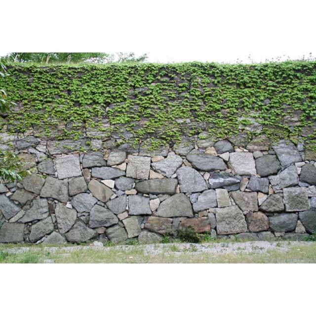 その他 – sozaiya.com