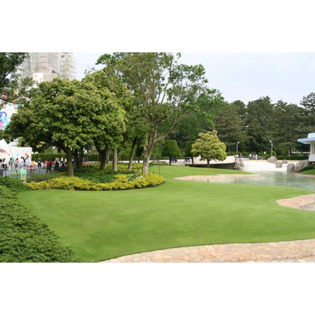 P0079 – sozaiya.com