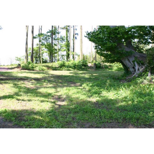 その他 – sozaiya.com