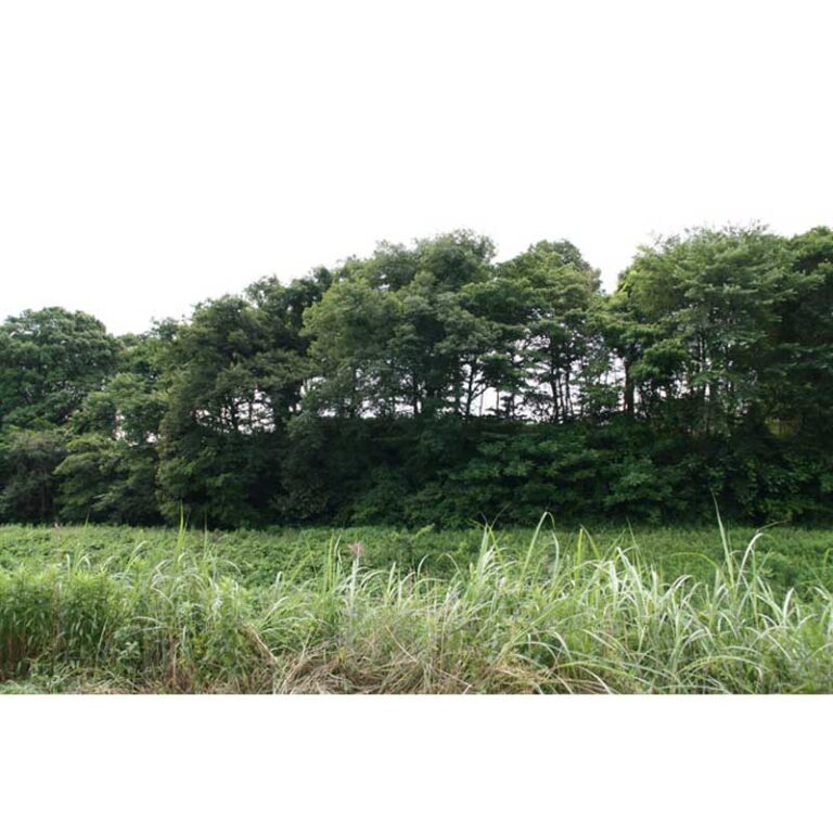 P0082 – sozaiya.com