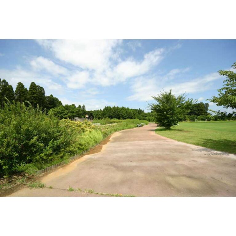 P0085 – sozaiya.com