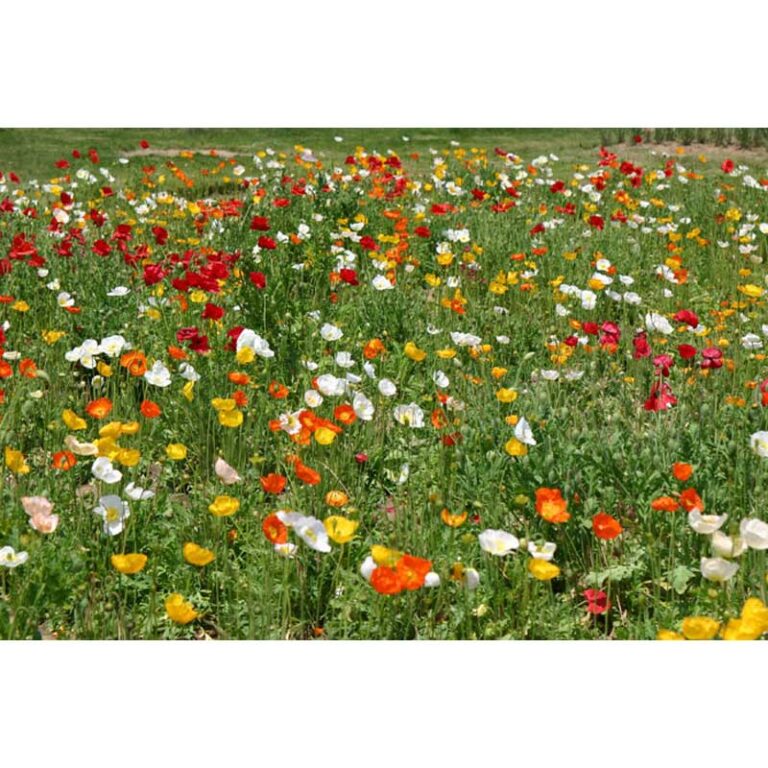 その他 – ページ 3 – sozaiya.com