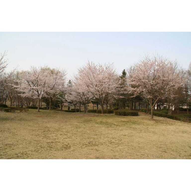 その他 – sozaiya.com