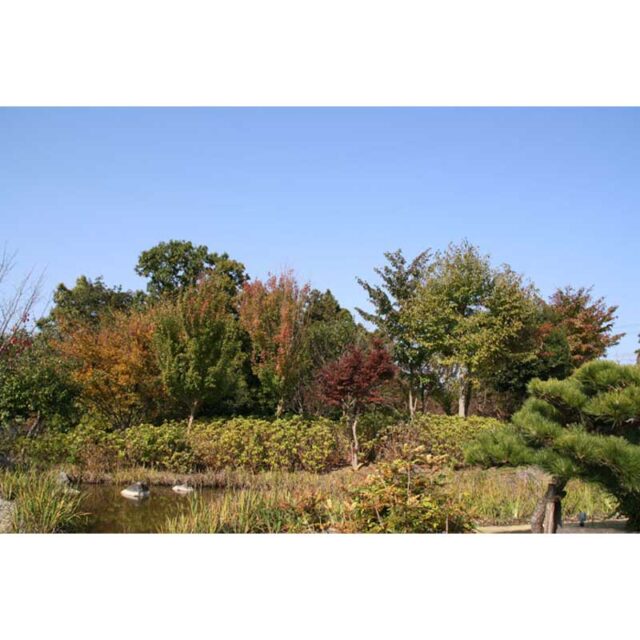 P0098 – sozaiya.com