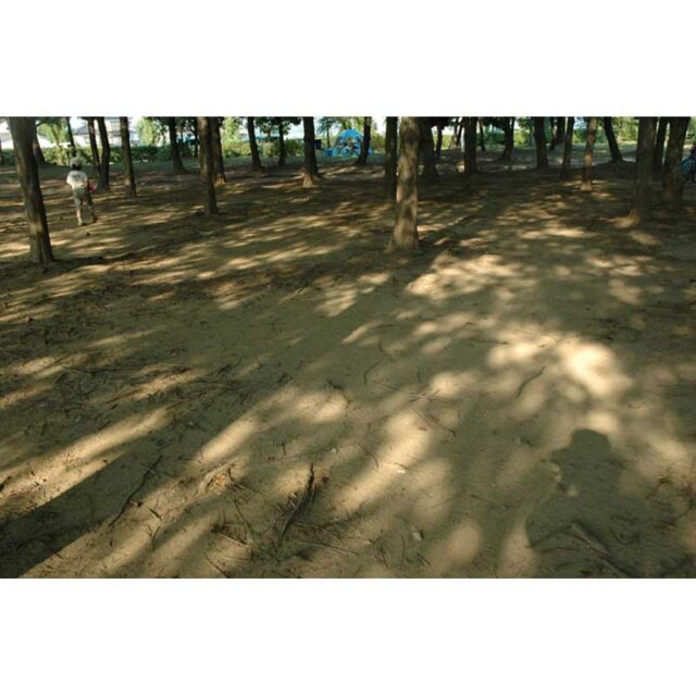 その他 – sozaiya.com