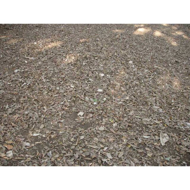 P0107 – sozaiya.com