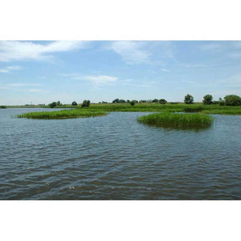 P0114 – sozaiya.com