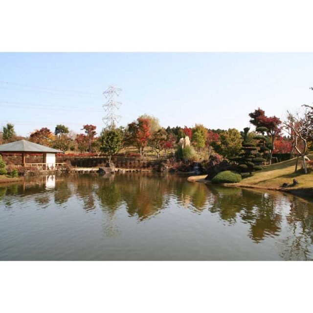 P0115 – sozaiya.com