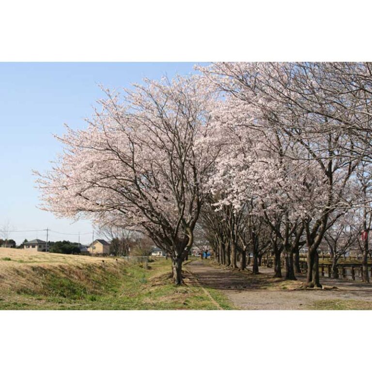 その他 – ページ 2 – sozaiya.com