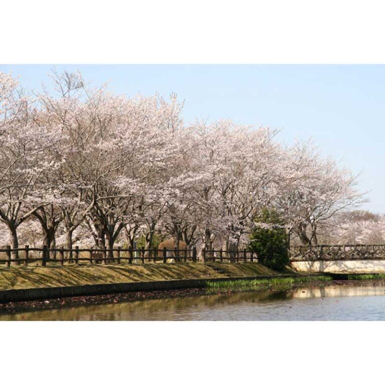 その他 – sozaiya.com