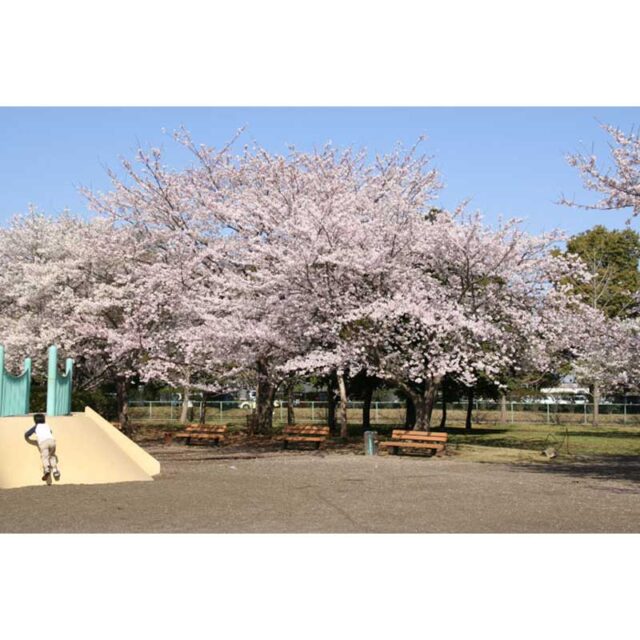 その他 – sozaiya.com