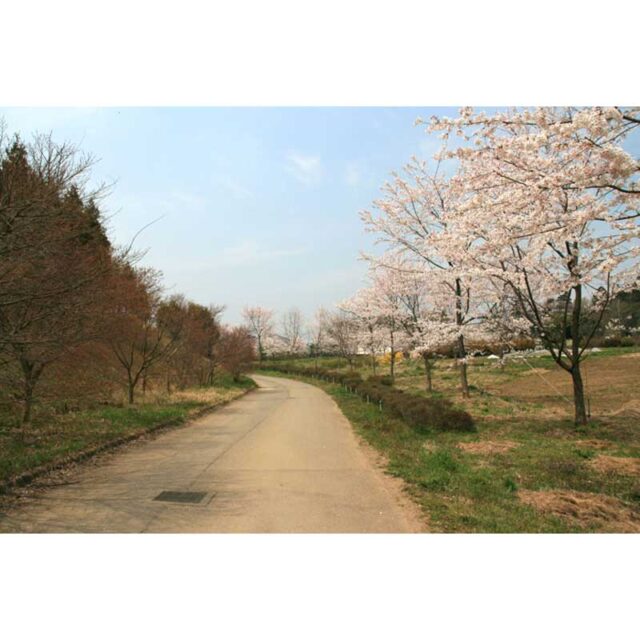 その他 – sozaiya.com