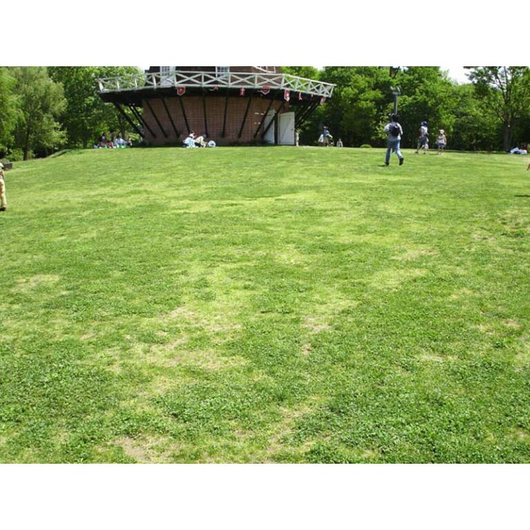 その他 – sozaiya.com