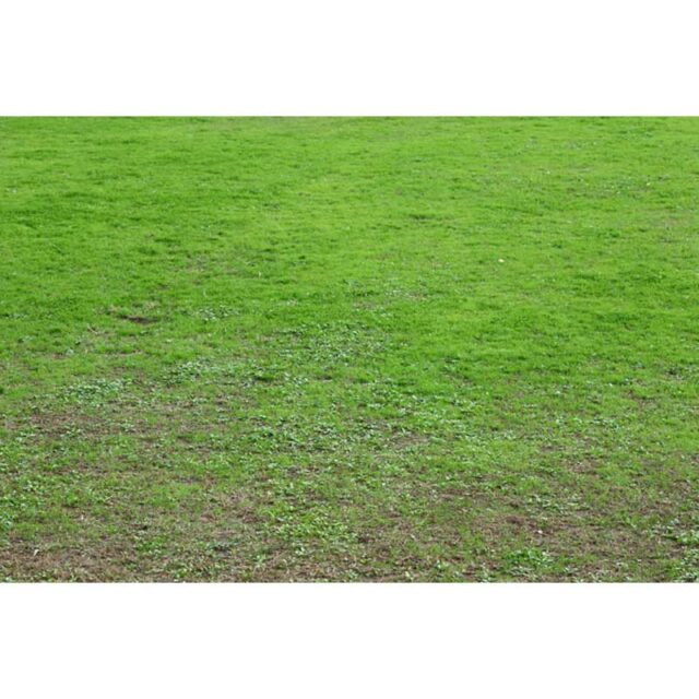 P0140 – sozaiya.com