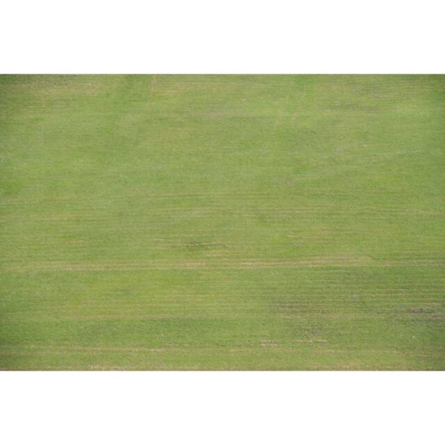 P0142 – sozaiya.com