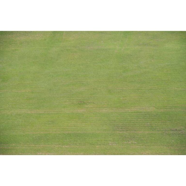 P0142 – sozaiya.com