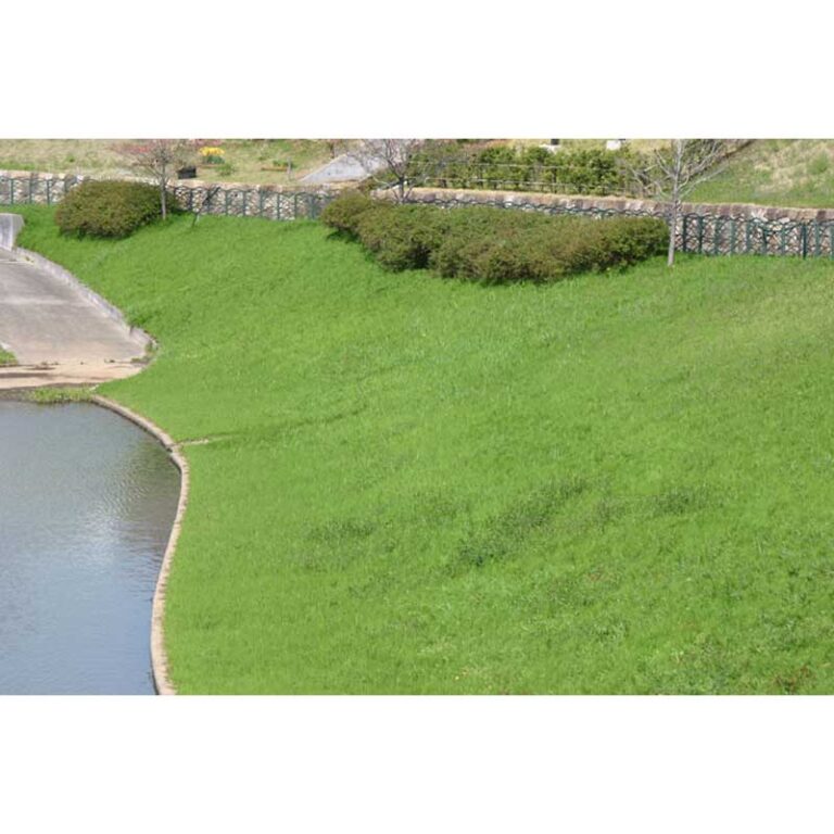 その他 – sozaiya.com