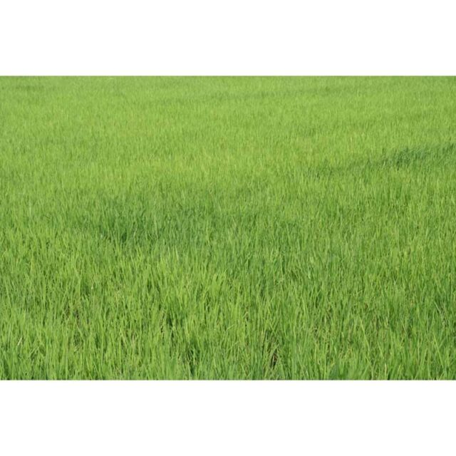 その他 – sozaiya.com