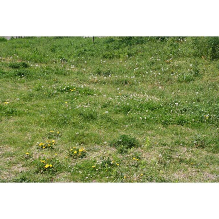 その他 – ページ 5 – sozaiya.com