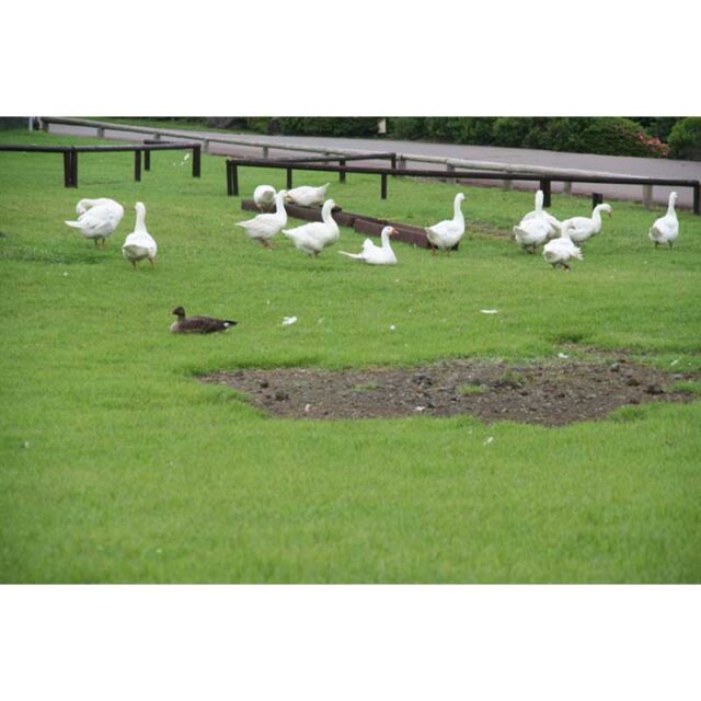 P0148 – sozaiya.com