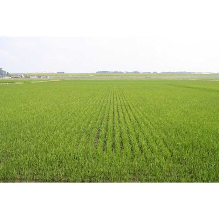 無料データ – ページ 7 – sozaiya.com