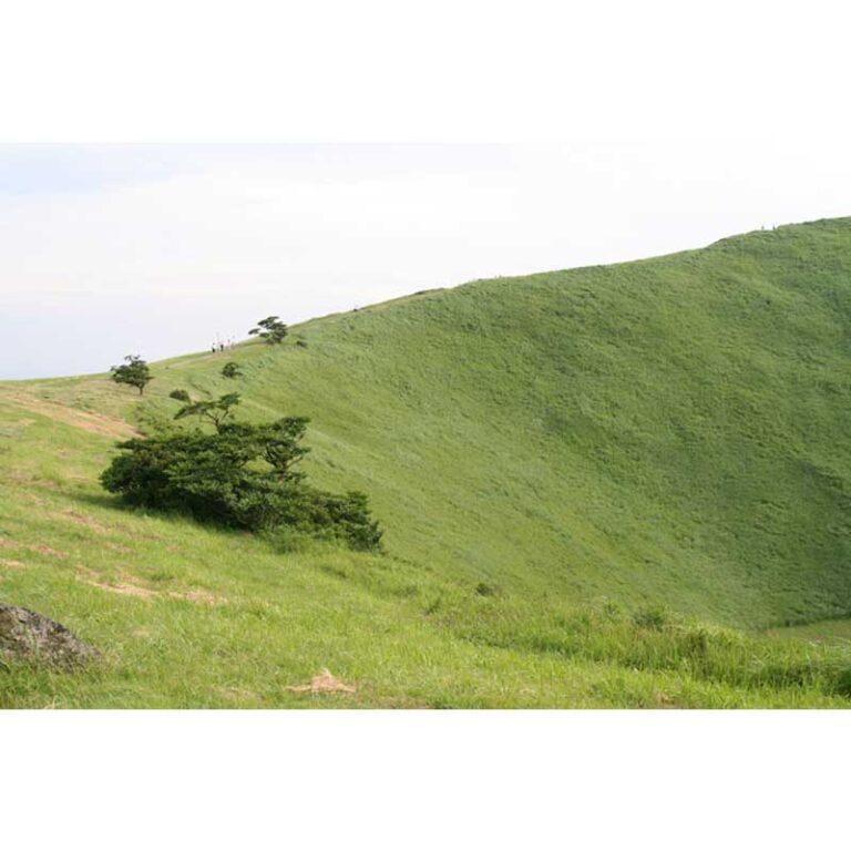 P0150 – sozaiya.com