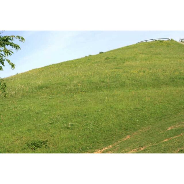 無料データ – ページ 7 – sozaiya.com